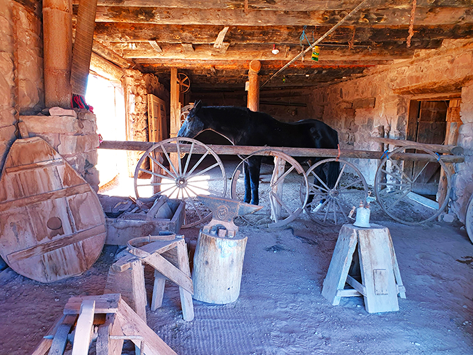 Howdy, partner! This four-legged friend looks like he's waiting for John Wayne to saddle up and ride off into the sunset.