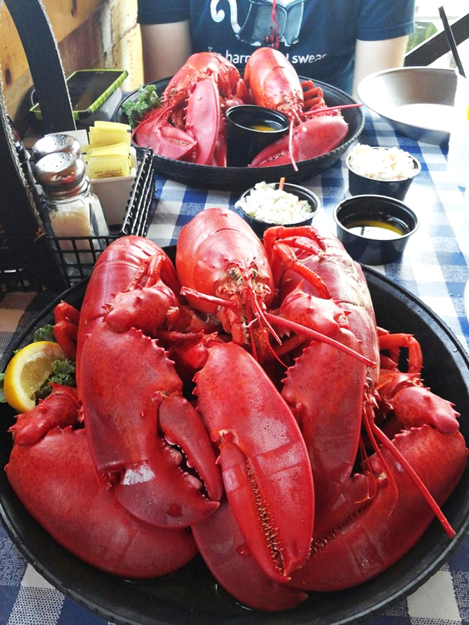 Lobster so red, it's blushing at its own deliciousness. Crack into these beauties and you'll swear you've found Neptune's secret stash.