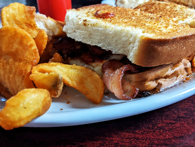 The dynamic duo of lunchtime satisfaction! This sandwich and its crispy sidekick are here to rescue you from hunger pangs and boring meals.