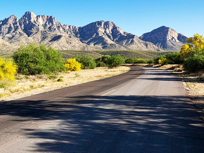 Road trip goals: where the journey is the destination. It's like driving through a living postcard – no filter needed!