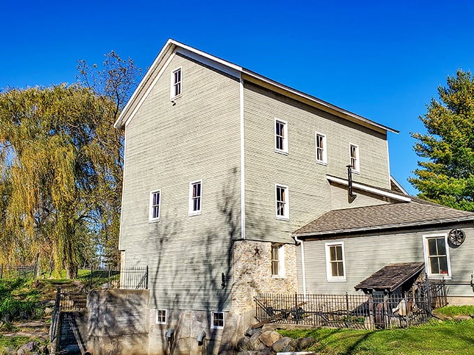 Beckman Mill: Where flour power meets water power. It's like stepping into a sepia-toned dream!