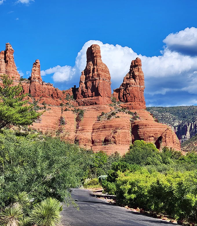 From desert heat to alpine peaks, this forest is Arizona's ultimate mood ring.
