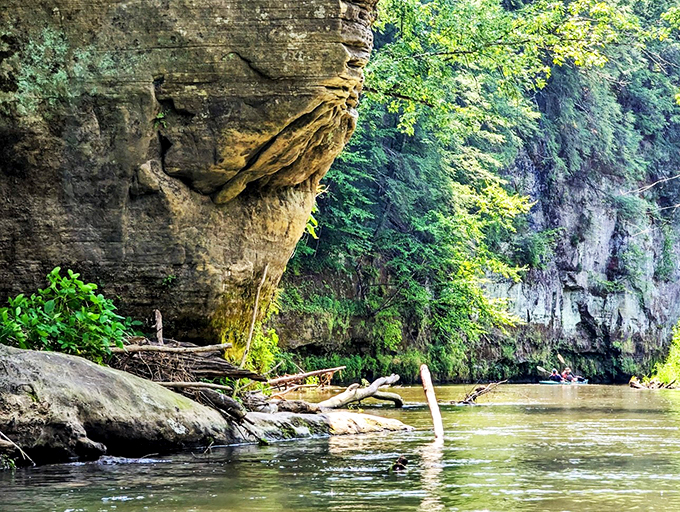 Meandering waters carve their way through lush greenery. It's like Mother Nature's own lazy river ride!