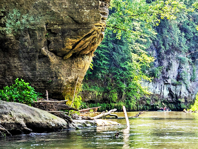 Kickapoo Valley Reserve: Where the river zigs when you think it will zag.Mother Nature's own rollercoaster, minus the long lines and overpriced snacks.
