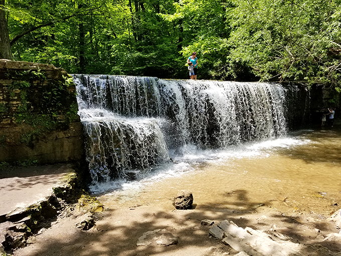 Forest bathing, Minnesota-style! Immerse yourself in a woodland time capsule, complete with a waterfall playing hide and seek. Photo credit: Jerry Molenaar
