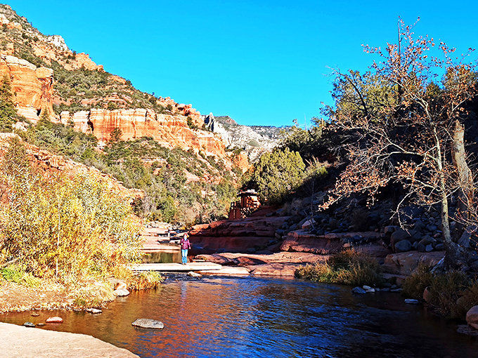 Nature's buffet of landscapes! Coconino serves up a little bit of everything, from red rocks to snowy peaks.