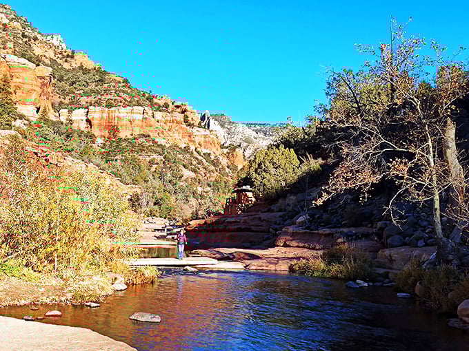 Nature's buffet of landscapes! Coconino serves up a little bit of everything, from red rocks to snowy peaks.