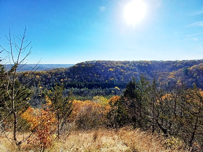 Wisconsin's natural skyscrapers: Where the view is always breathtaking, and the elevator is your own two feet!
