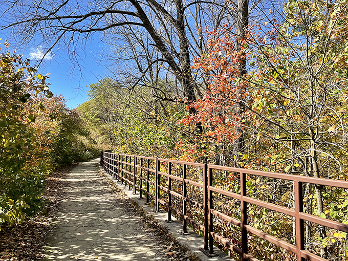 Tree therapy at its finest! A leafy haven where you can pretend you're a woodland creature (just don't eat the acorns). Photo credit: PK Lee