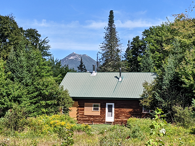 Cabin fever never looked so good: Where social distancing was cool before it was mandatory. Your Zoom background just got a serious upgrade!