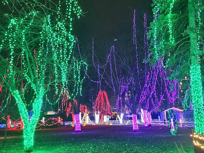 It's beginning to look a lot like... Mardi Gras? This vibrant display proves that holiday lights come in more than just red and green.