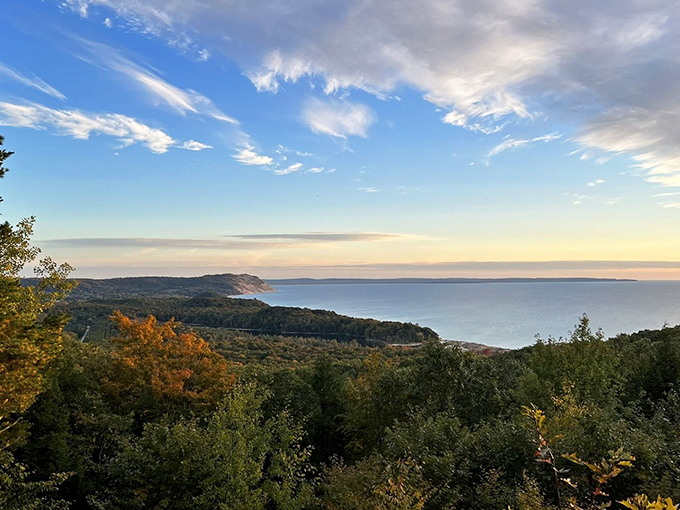 Where forest meets lake! This vista is like a real-life 'Magic Eye' poster, revealing new wonders the longer you gaze.