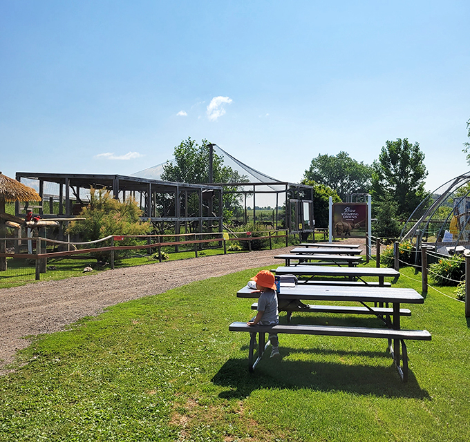 The perfect spot for a picnic with a view. Just remember, the animals are watching the human exhibit too!