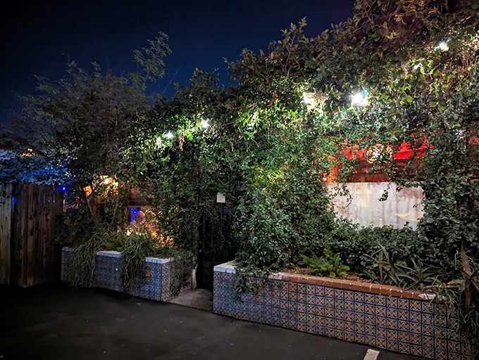 As night falls, the magic begins. This twinkling exterior is your gateway to a world of Thai culinary wonders.