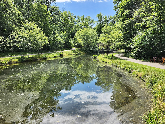 "Mirror, mirror in the park, which reflection is the most remarkable? Nature's beauty doubles in this tranquil pond."