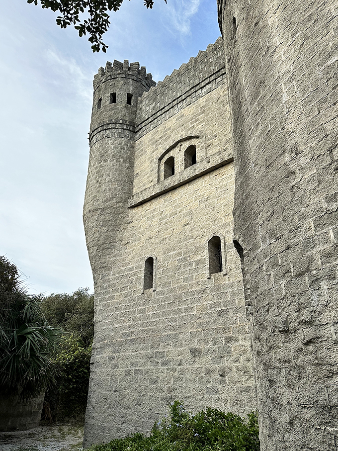 Rapunzel, Rapunzel, let down your... palm fronds? This castle wall proves that even medieval architecture can rock a Florida tan.