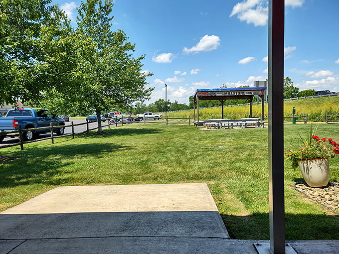 A slice of BBQ heaven! This outdoor view is the perfect backdrop for your post-feast food coma nap.