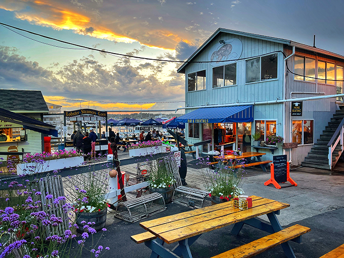 As the sun sets, the magic begins! Boothbay Lobster Wharf transforms into a twinkling wonderland of good food and great memories.