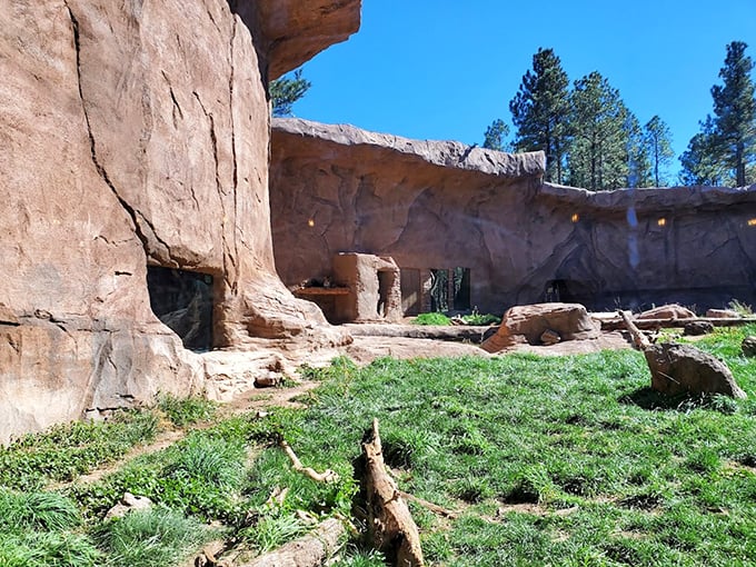 A room with a view&hellip; of prehistoric proportions. This rocky enclosure is the ultimate pad for creatures great and small.