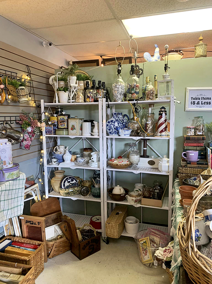 A treasure trove of vintage kitchenware and collectibles, arranged like the world's most fascinating game of "I Spy."