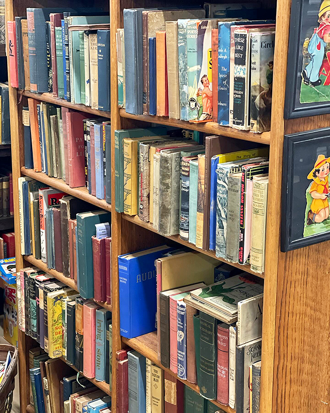 A literary treasure trove of well-loved classics stands ready to transport readers to adventures of yesteryear.