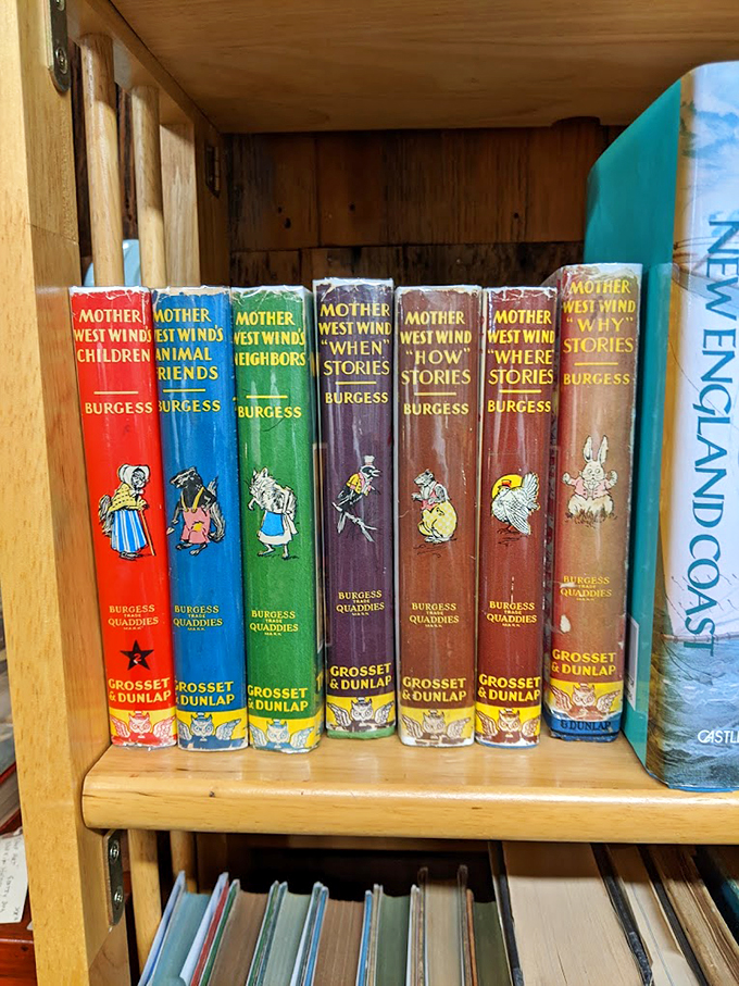 The Mother West Wind collection stands like a colorful timeline of childhood memories. These stories have sparked countless young imaginations.