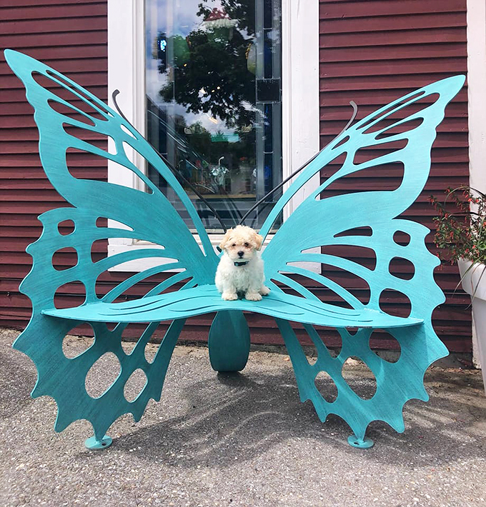 Who needs fairy wings when you can have a butterfly bench? This whimsical seat proves that even furniture can spread its wings and fly.