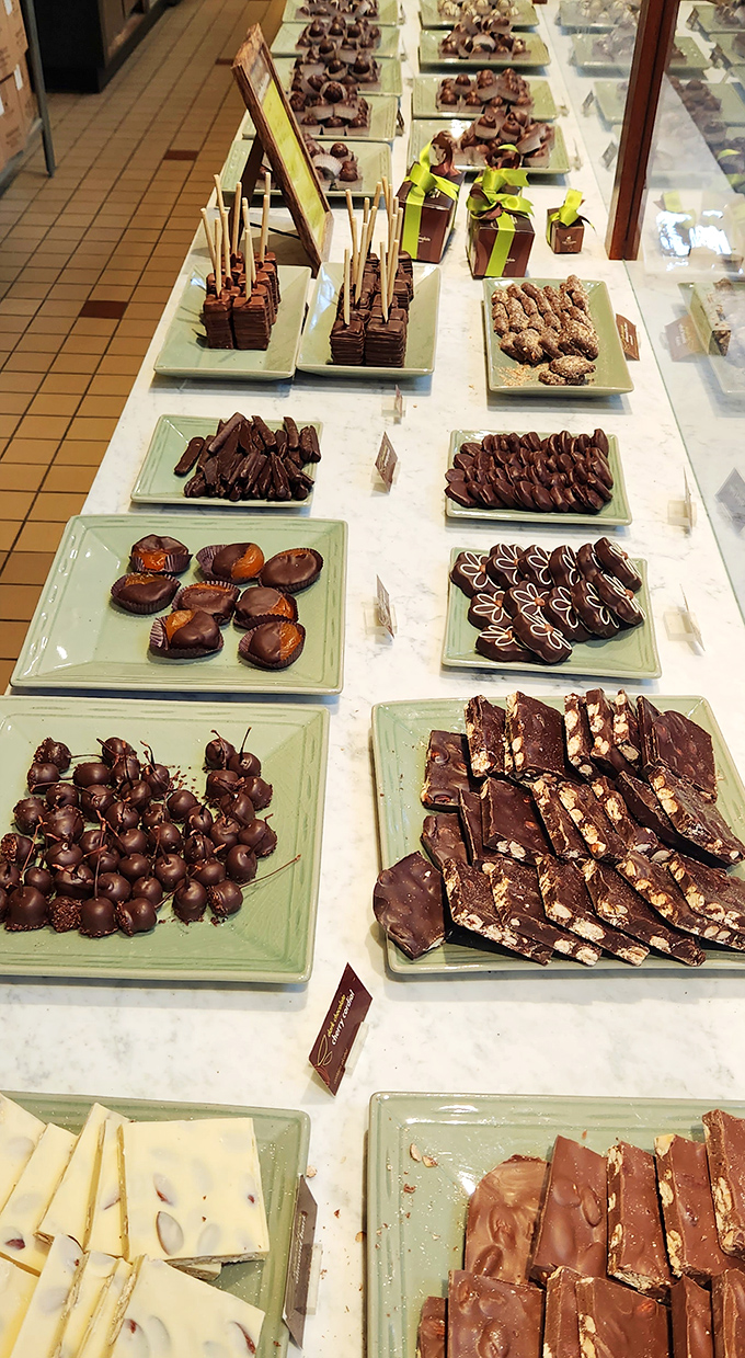 Chocolate smorgasbord! This spread is what dreams are made of &ndash; a choose-your-own-adventure of cocoa-based bliss.
