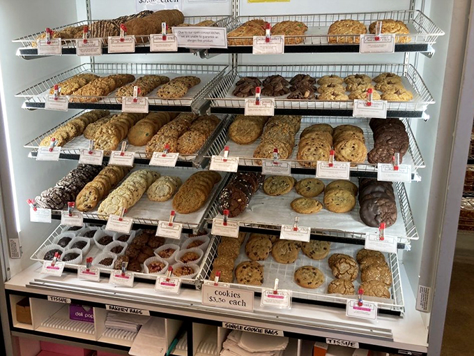 A cookie collection that would make Cookie Monster weep with joy and consider moving to Maine permanently.