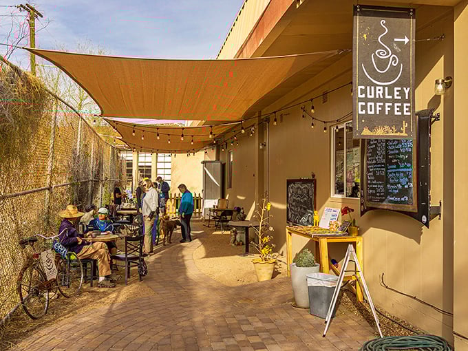 Curley Coffee: Where caffeine dreams come true. Join the local buzz at this cozy spot that's percolating with charm and community spirit. Photo credit: Curley Coffee Roasters