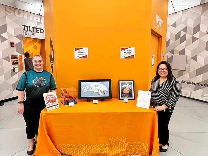 Prepare for a sensory rollercoaster! Each exhibit is a new adventure, challenging your perception and tickling your funny bone in equal measure. 