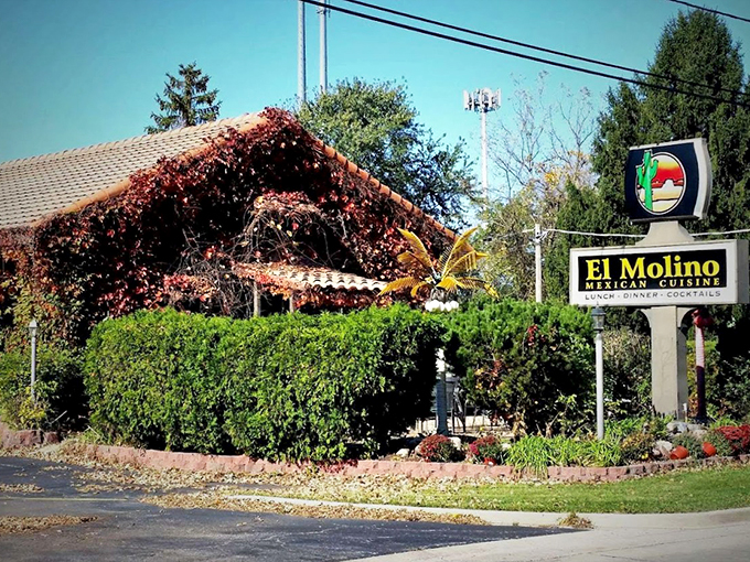 Like a postcard from Mexico's countryside, this ivy-draped building promises authentic flavors within.