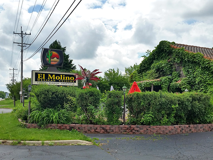 Nature meets nurture: lush landscaping embraces this neighborhood gem like a warm Mexican hug in suburban Illinois.