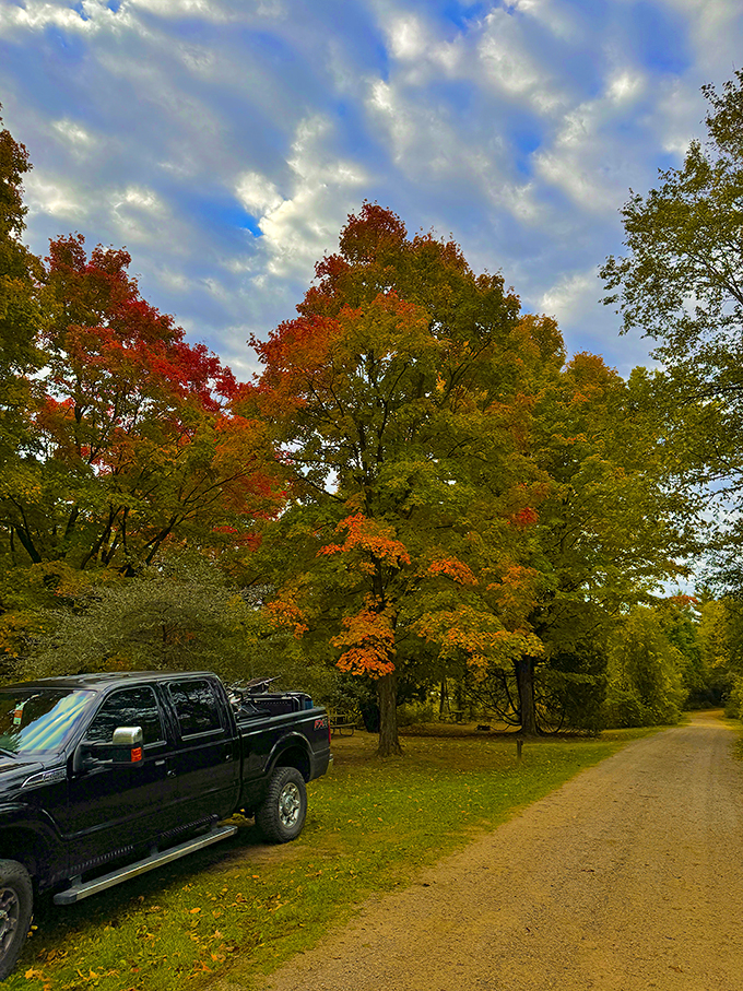 Autumn's grand finale: Nature's own fireworks display, with trees dressed in their most dazzling reds and golds.