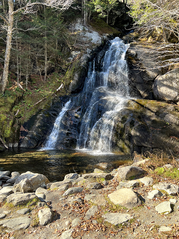 Warren Falls in action: Nature's own water feature that puts your backyard fountain to shame.