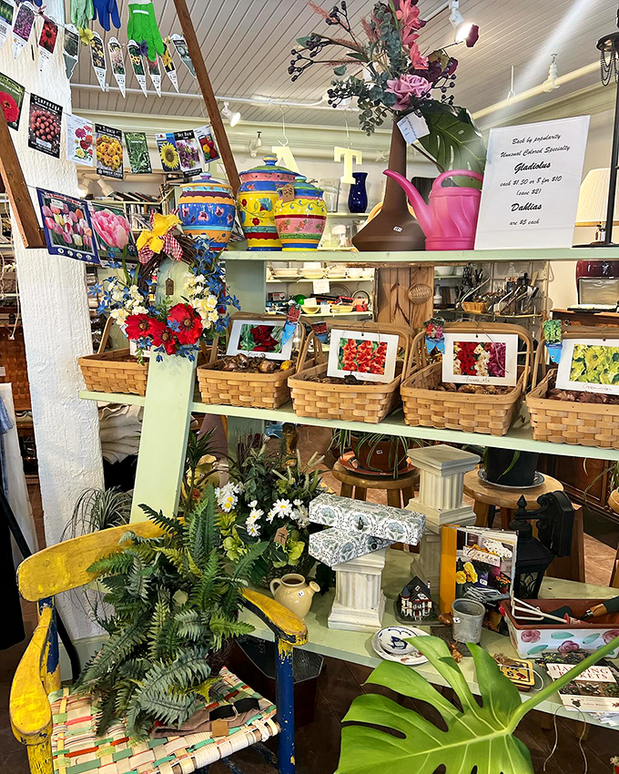 Garden dreams bloom indoors! This colorful corner is like Mother Nature's mood board, inspiring green thumbs and plant-killers alike.