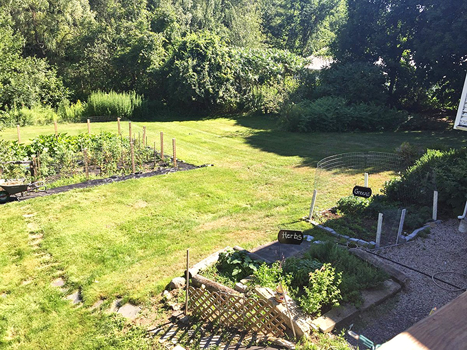 A perfectly organized herb garden that proves even vegetables can have waterfront property in Kittery.