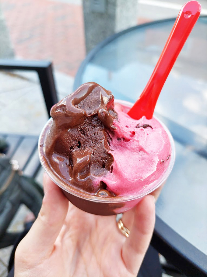 A study in contrasts: rich chocolate and bright berry gelato create an Instagram-worthy moment of frozen perfection.