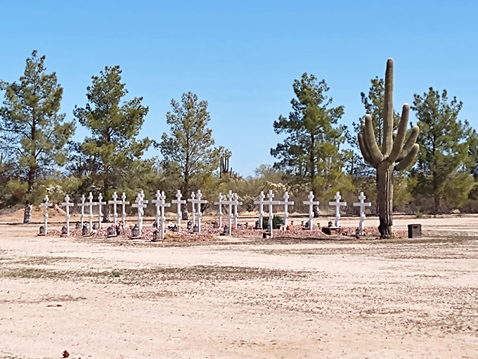 Even in death, there's a touch of the surreal here. It's like the final scene of a Wes Anderson film set in the Wild West.