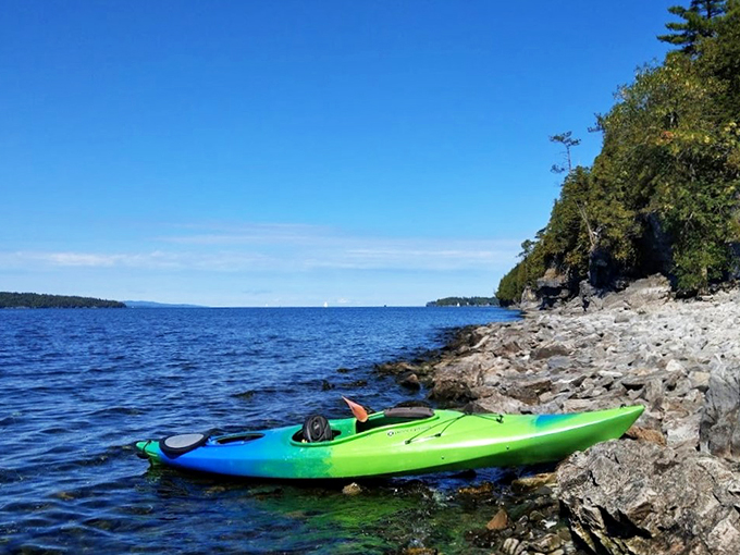 Adventure awaits! This kayak is your ticket to exploring Kingsland Bay's hidden coves and pretending you're a modern-day Lewis and Clark.