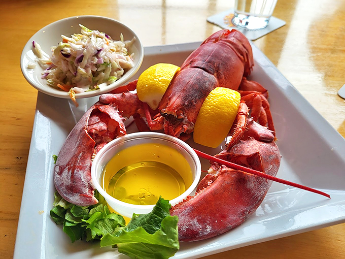 The star of the show: a perfectly steamed lobster with all the fixings, ready for its delicious destiny.