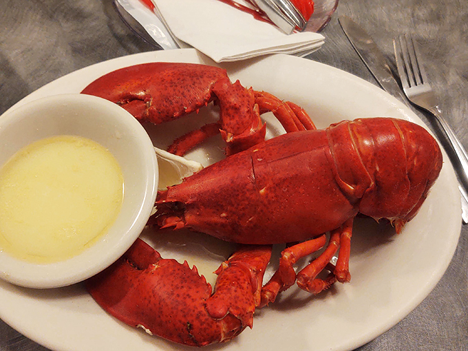 Meet the star of the show! This lobster isn't just fresh; it's ready for its close-up. Time to channel your inner food paparazzi!