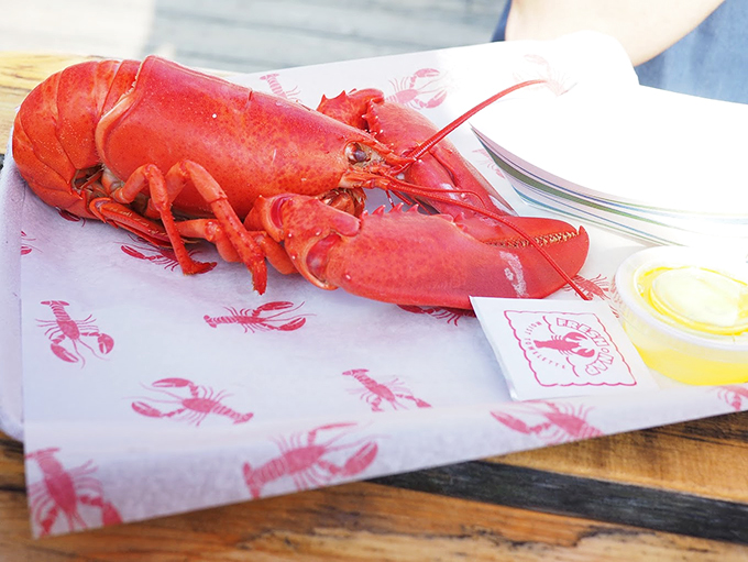 A perfectly steamed Maine lobster on its signature paper, ready for its moment of buttery glory.