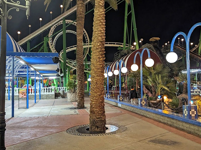 As night falls, the magic begins! Twinkling lights transform Castles N' Coasters into an enchanting wonderland of after-dark adventures.