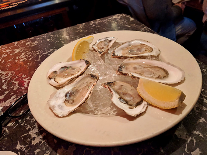 Fresh oysters on ice, served with lemon wedges &ndash; a taste of the Maine coast in every briny bite.