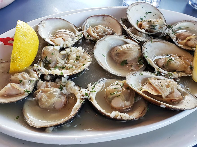 Fresh oysters on the half shell, dressed simply with lemon wedges - nature's perfect appetizer awaits. Photo credit: Anastasia Sandiego