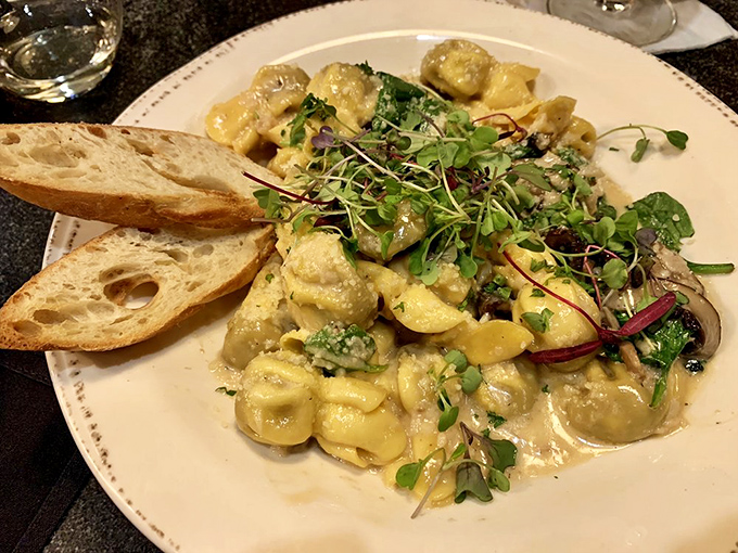 Pillowy pasta clouds float in a sea of creamy sauce, garnished with fresh microgreens. Comfort food gets dressed up for a night out.