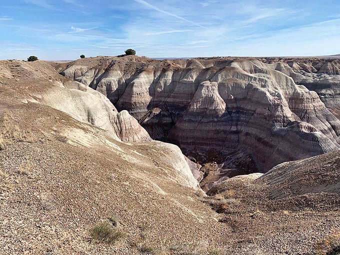 Mother Nature's own sculpture garden. The Petrified Forest National Park showcases geology's artistic side, no chisel required. Photo credit: Grover R