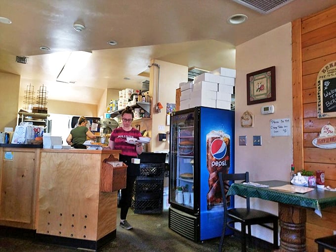 15. register and staff