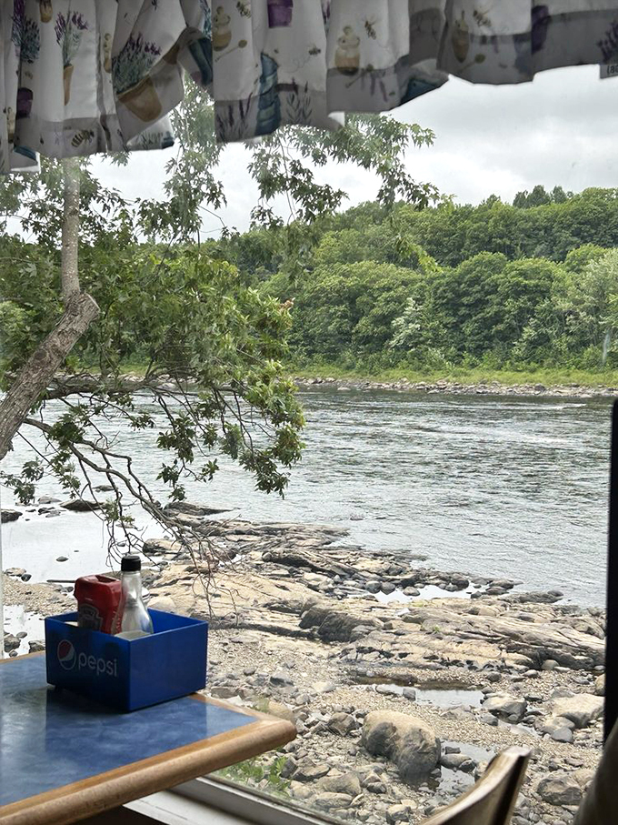 Nature's TV dinner! With a view like this, who needs Netflix? Just sit back, relax, and let the river provide the entertainment.